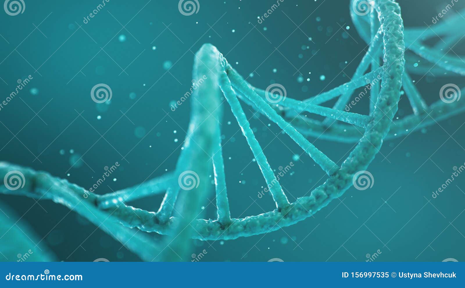 Double Helical Structure of DNA, DNA Molecule, RNA. the Concept of ...