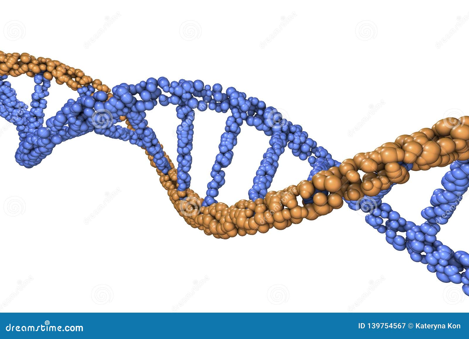 Double helix of DNA stock illustration. Illustration of biology - 139754567