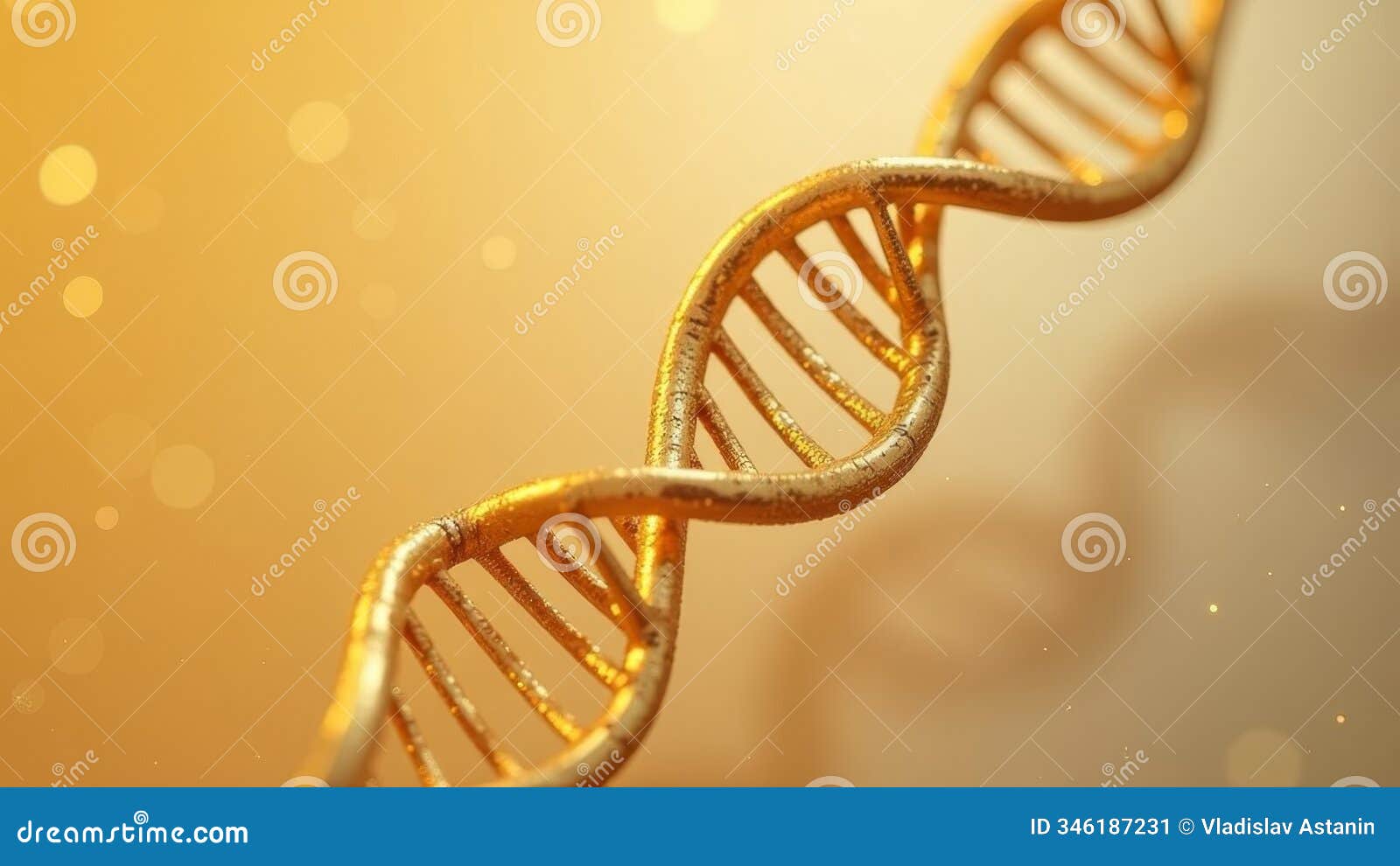 Double Helix DNA Strands on a Gold Stock Image - Image of research ...