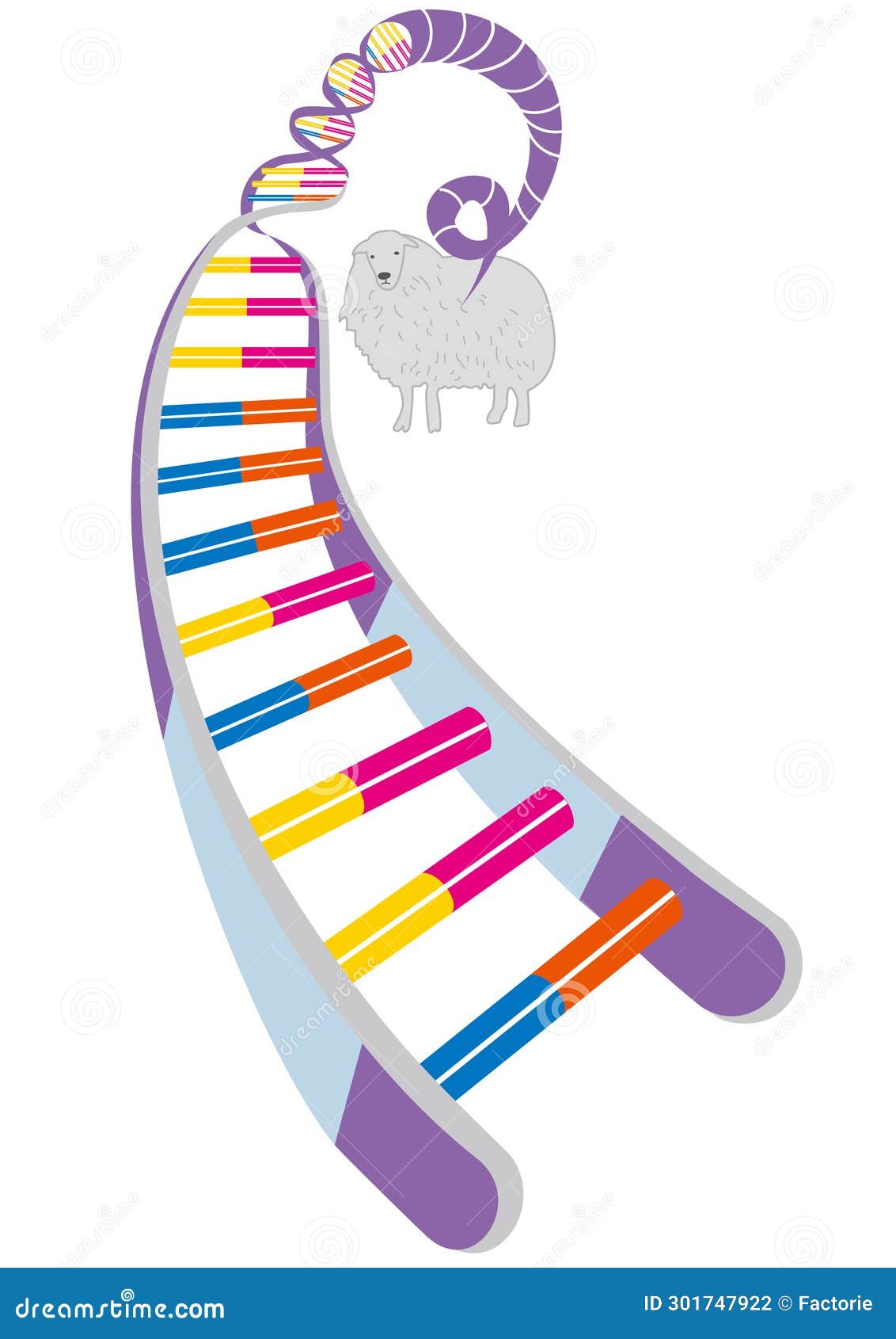 Double Helix Structure Diagram And Cloned Sheep Vector Illustration ...