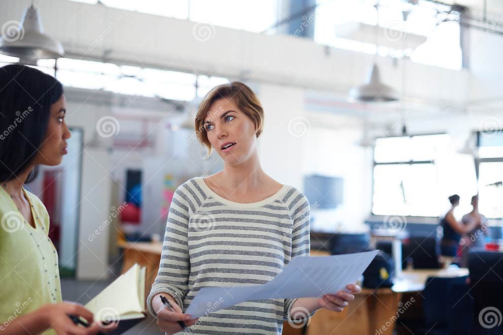 Double the Input. Two Colleagues Bouncing Ideas Off Each Other. Stock ...