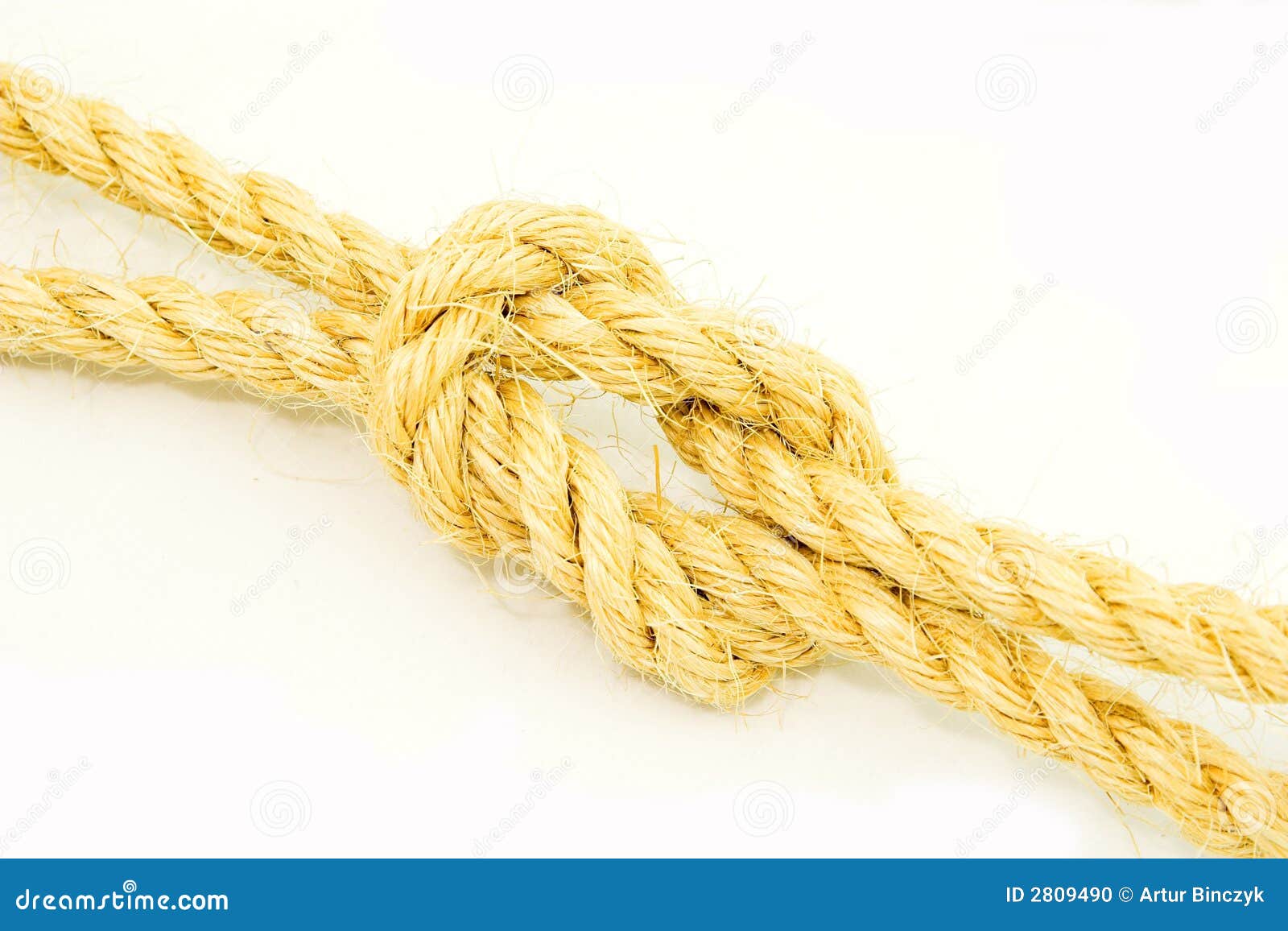 Double knot stock photo. Image of conjunction, clipping - 2809490