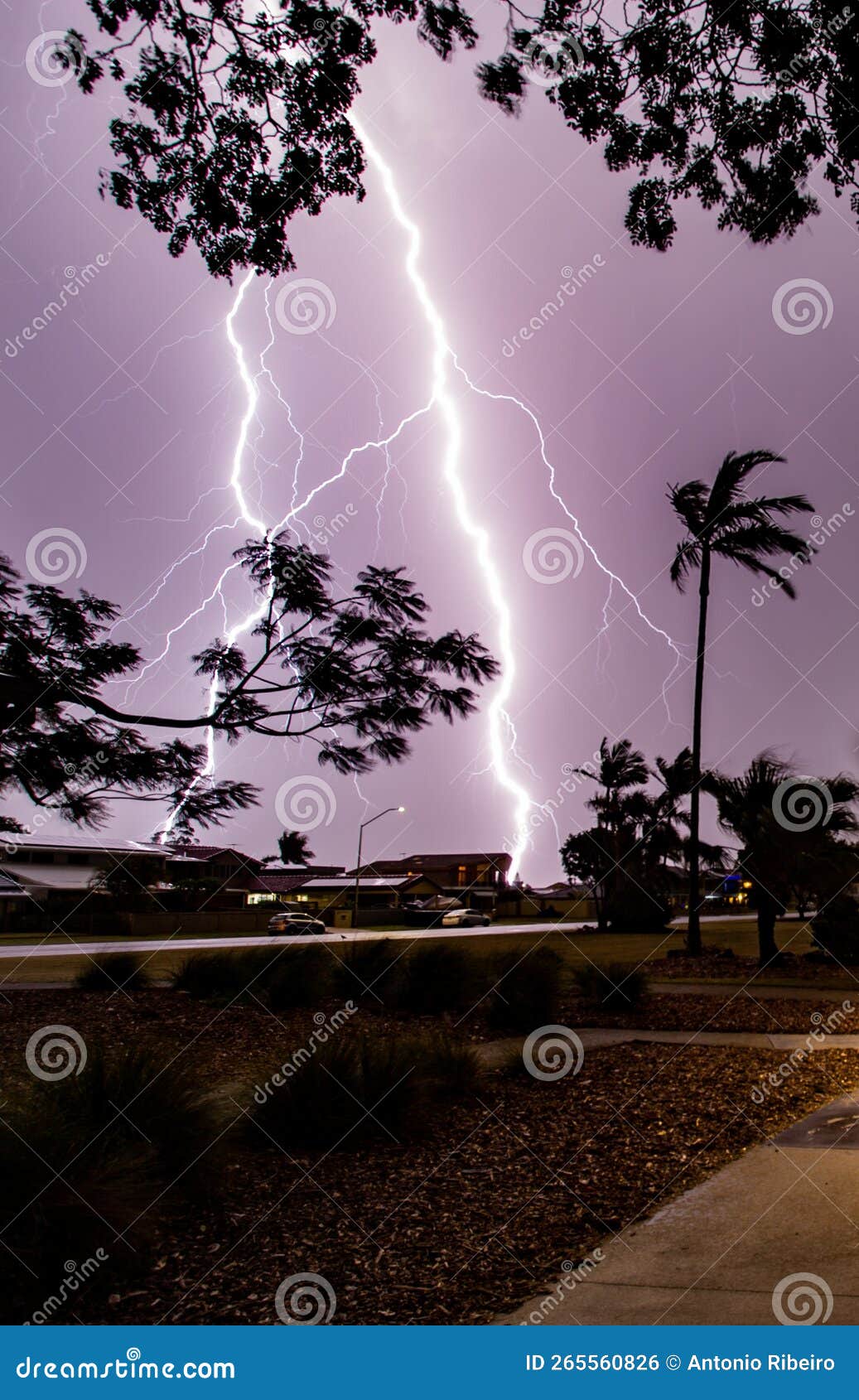 Intracloud Lightning Thunderbolt IC Strikes At Night Above A City Stock ...