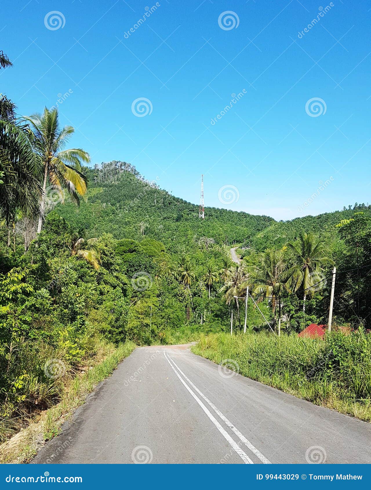Double line road... stock image. Image of sunnyday, doubleline - 99443029