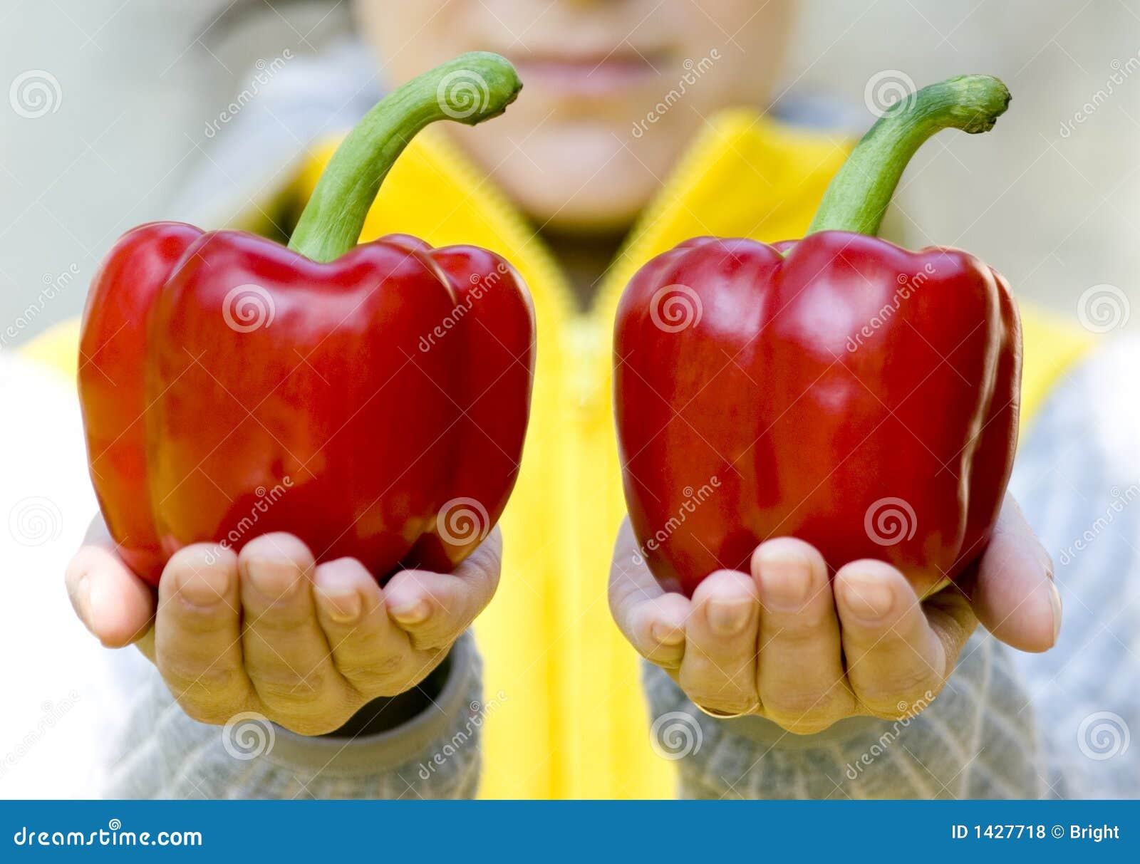 Double peppers stock photo. Image of lettuce, pepper, vital - 1427718