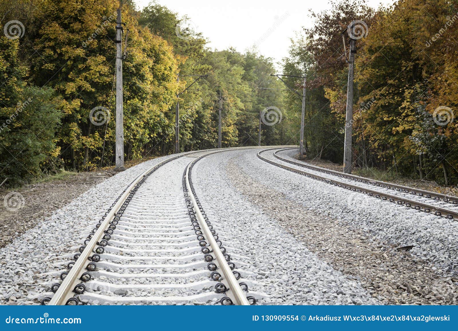 Double rail track stock photo. Image of railway, perspective - 130909554
