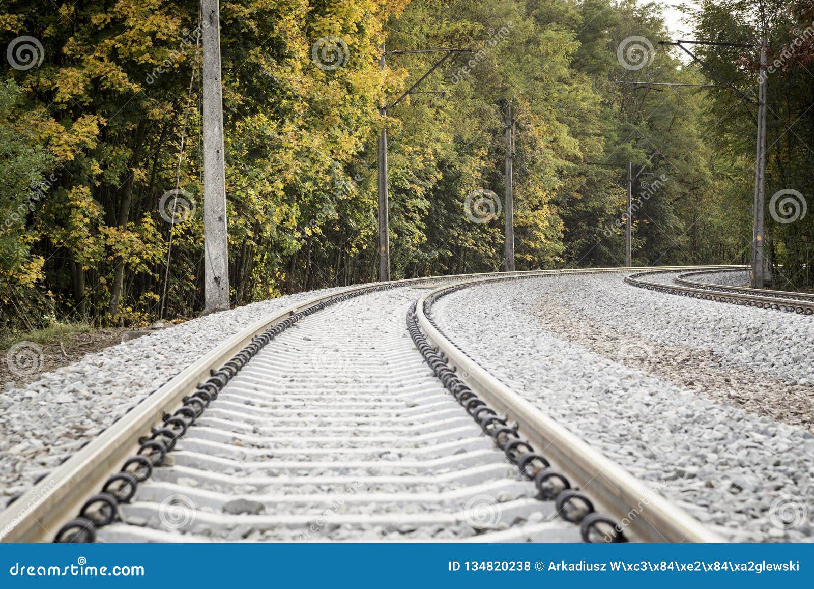 Double rail track stock photo. Image of line, autumn - 134820238