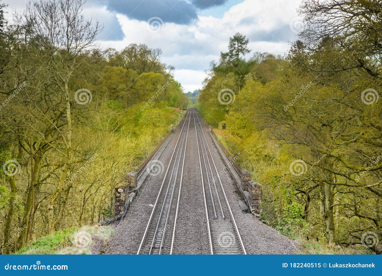 Double Railroad Tracks through a Forest in Springtime Stock Image ...