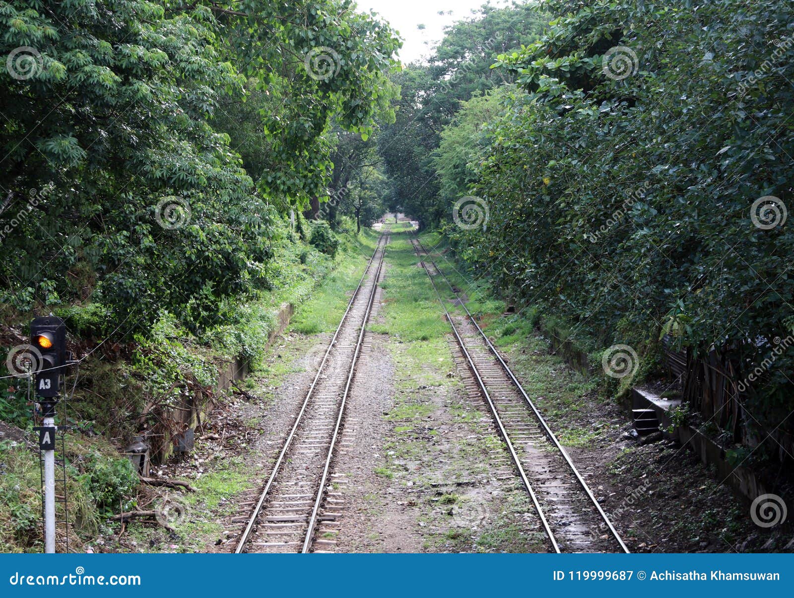 Double Railroad Tracks Parallel between the Nature of the Tree. Stock ...