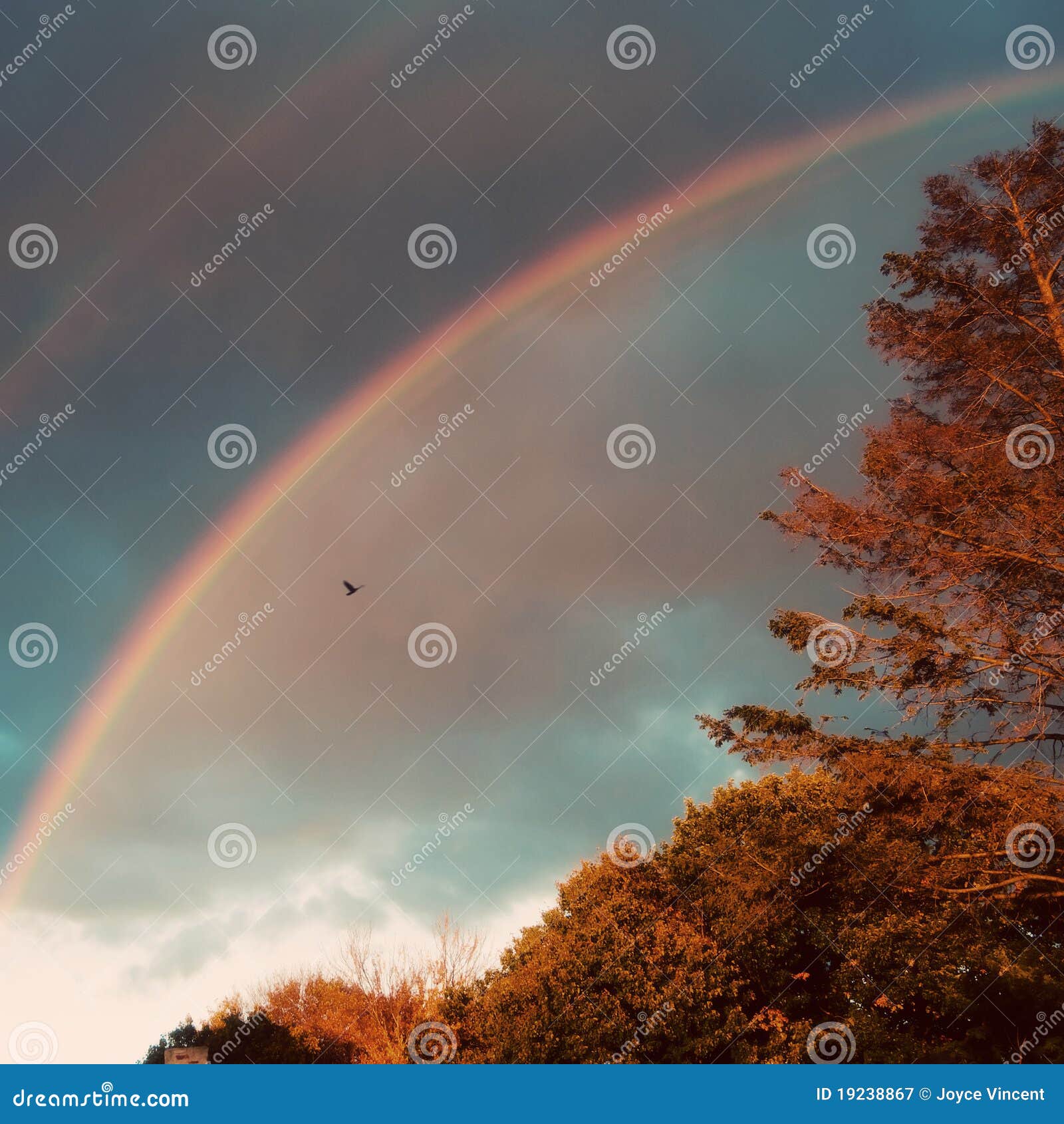A Double Rainbow in the Autumn Sky Stock Image - Image of clouds ...