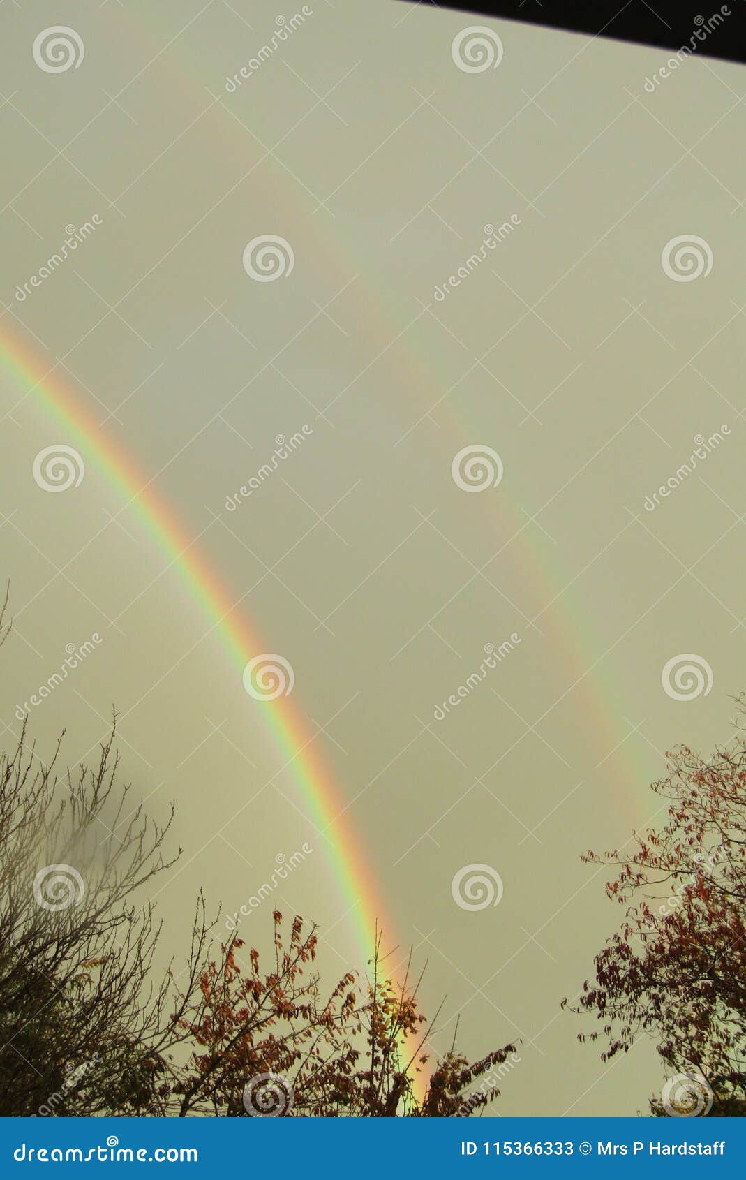Double Rainbow after Heavy Rain! Stock Image - Image of rain, deluge ...