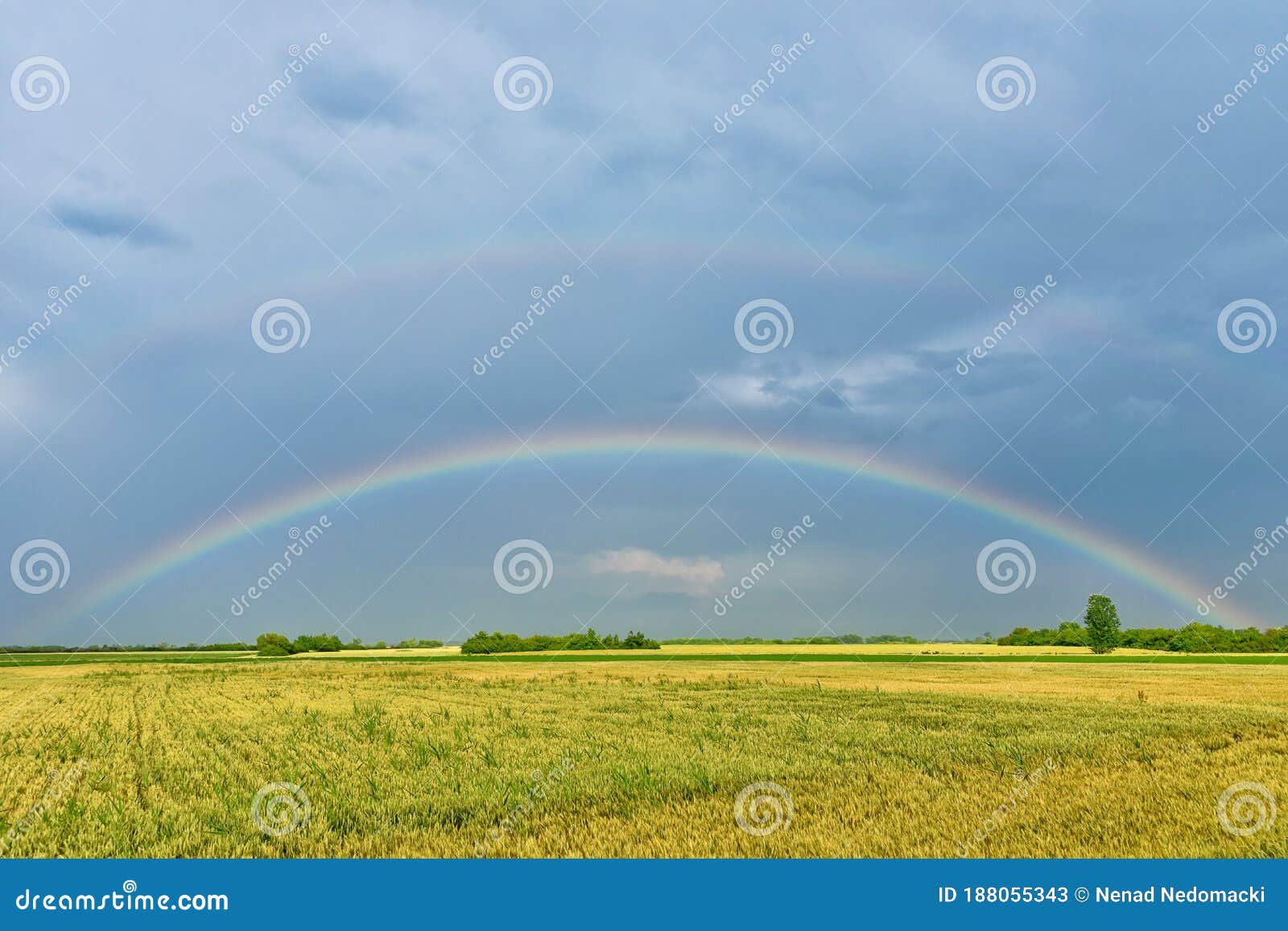 Double Rainbow Over a Field Stock Image - Image of bright, farm: 188055343