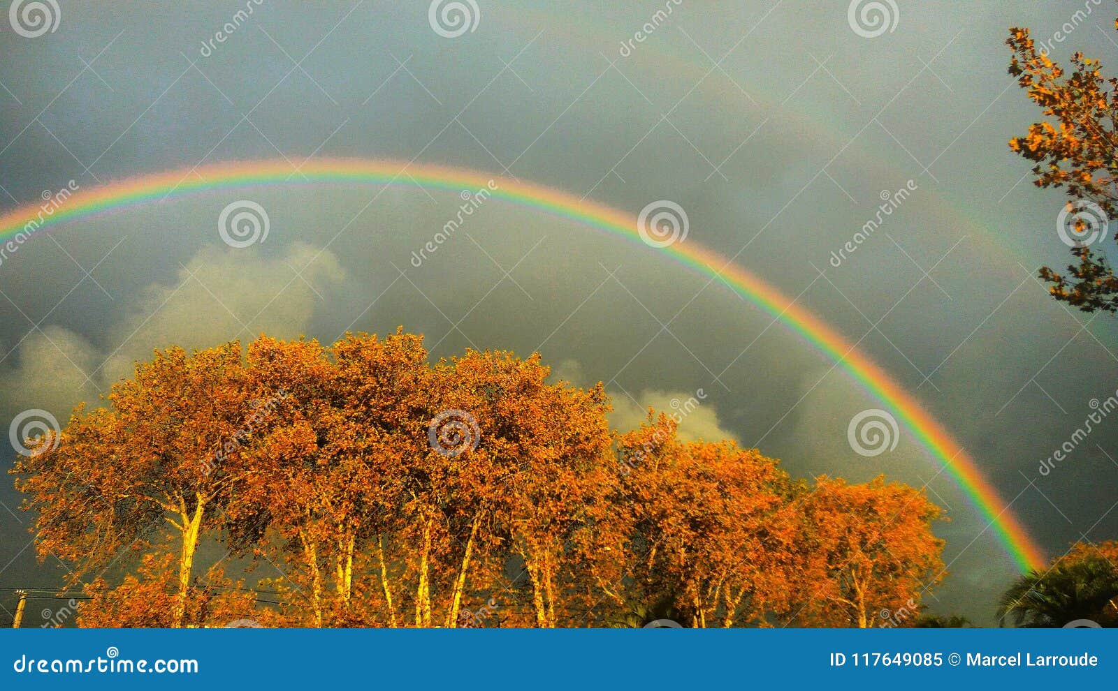Double Rainbow Over the Woods Stock Image - Image of woods, shines ...