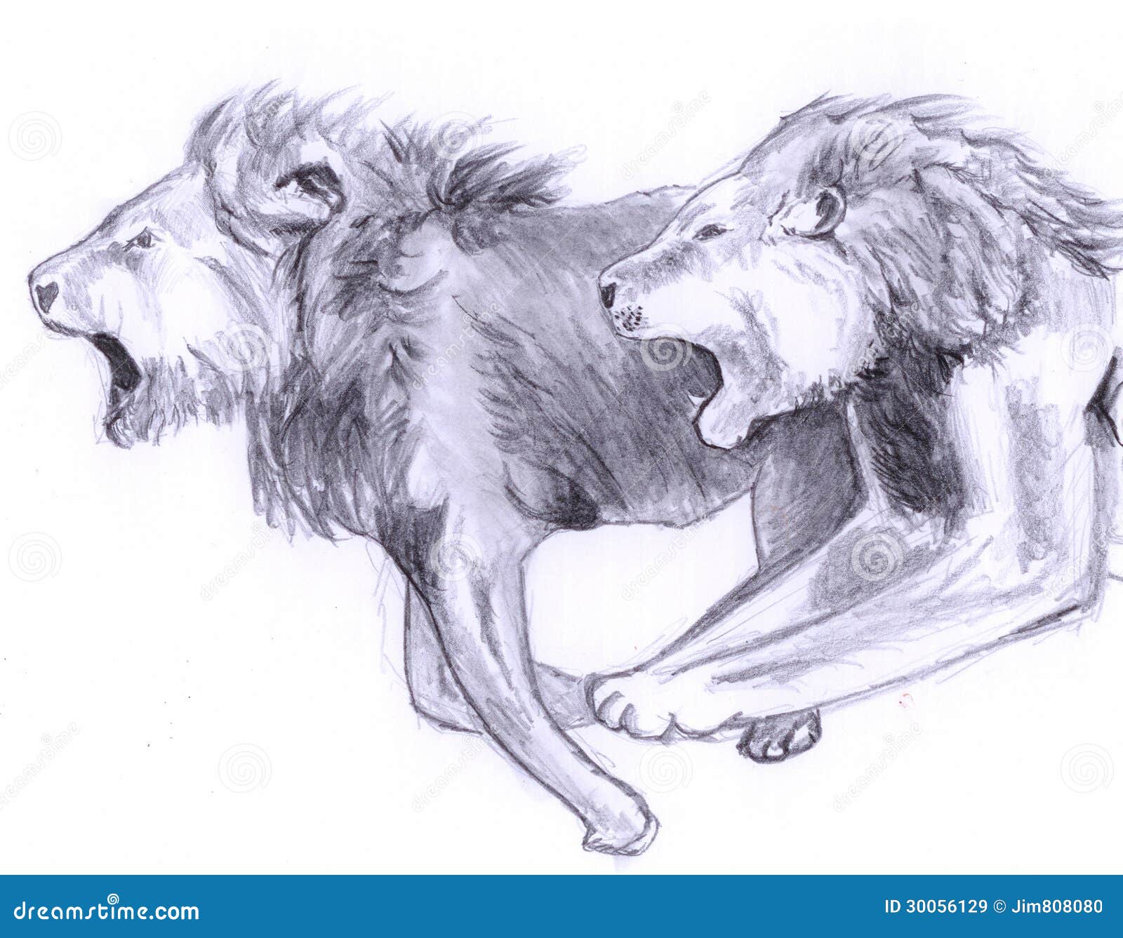 Double running lion sketch stock illustration. Illustration of king ...