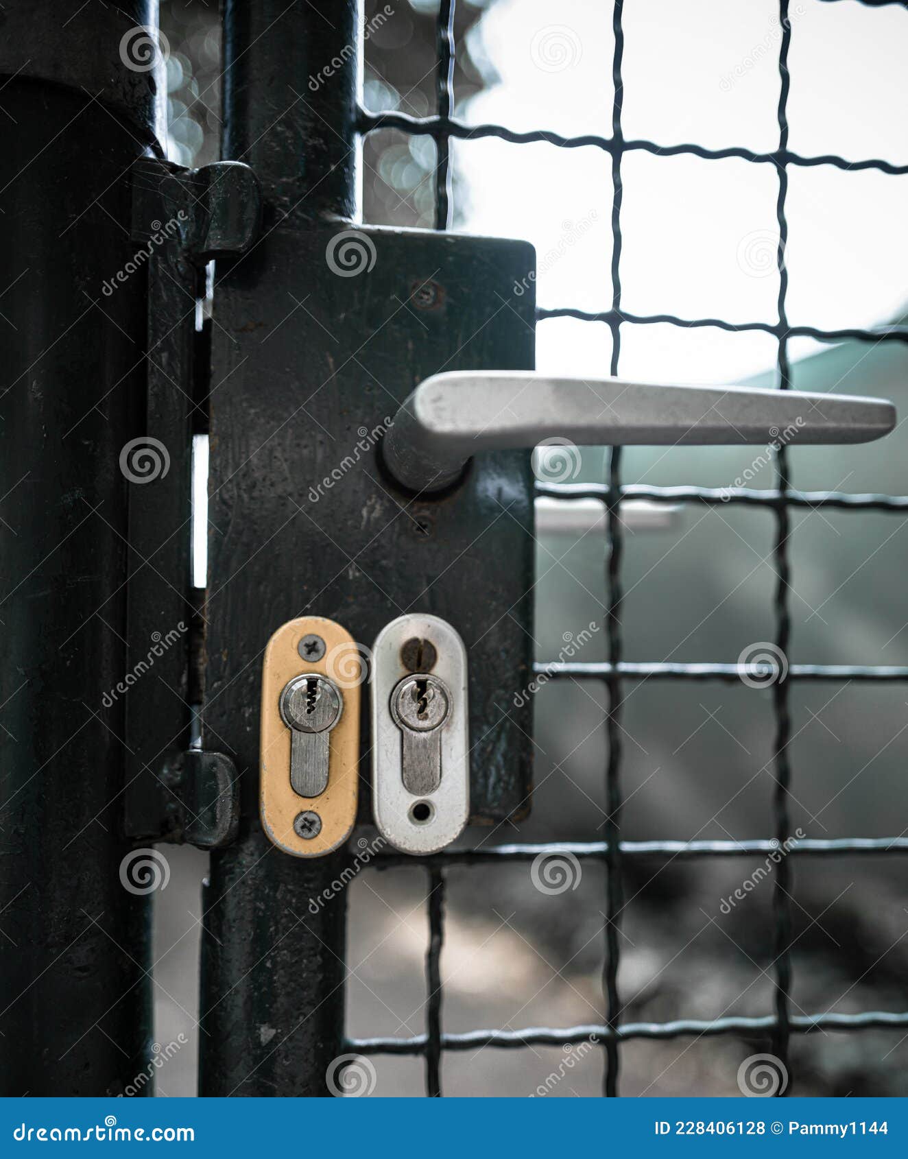 Double Security stock photo. Image of iron, gate, fastener - 228406128