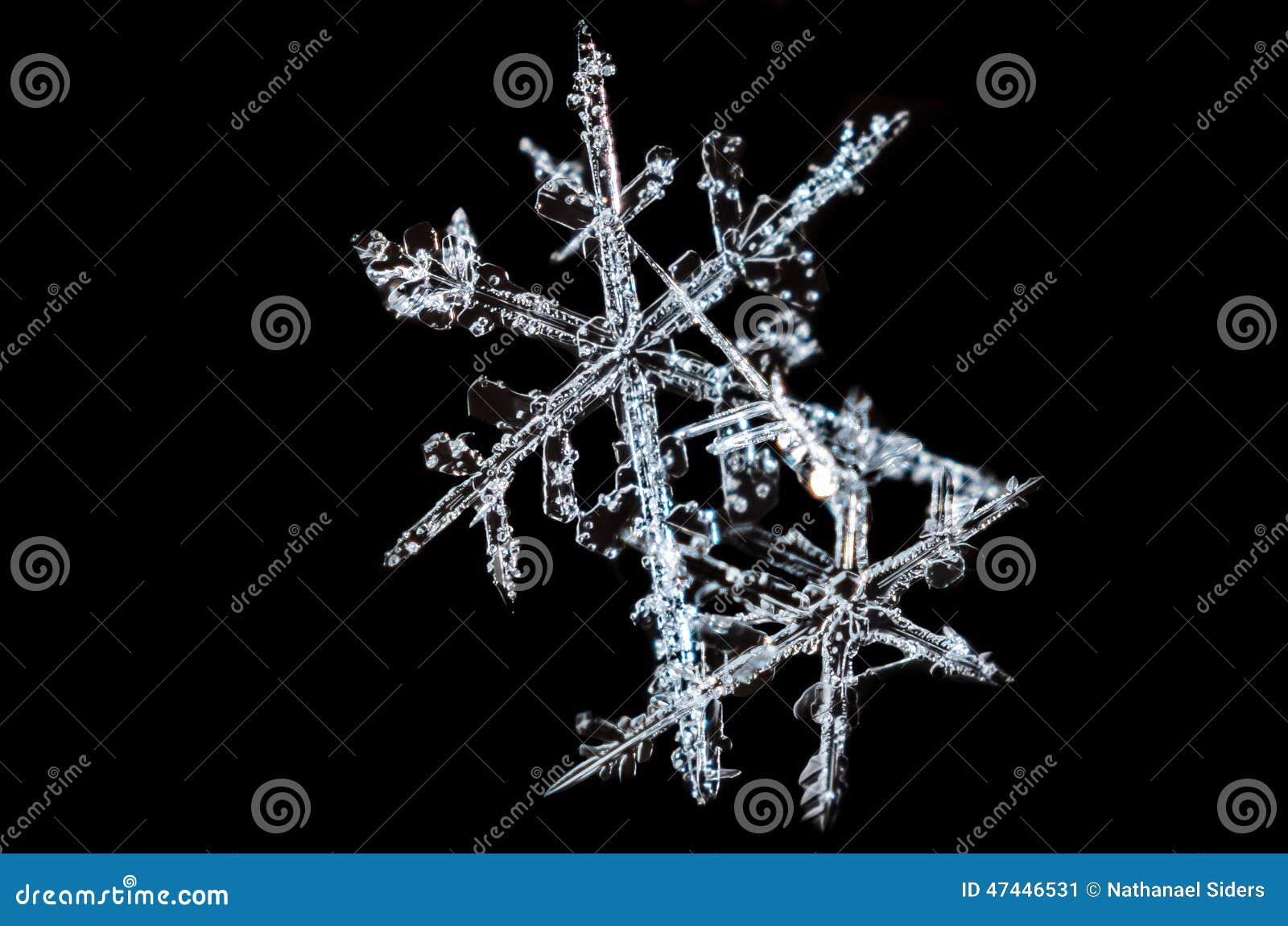 Double Snowflake stock image. Image of nature, flake - 47446531