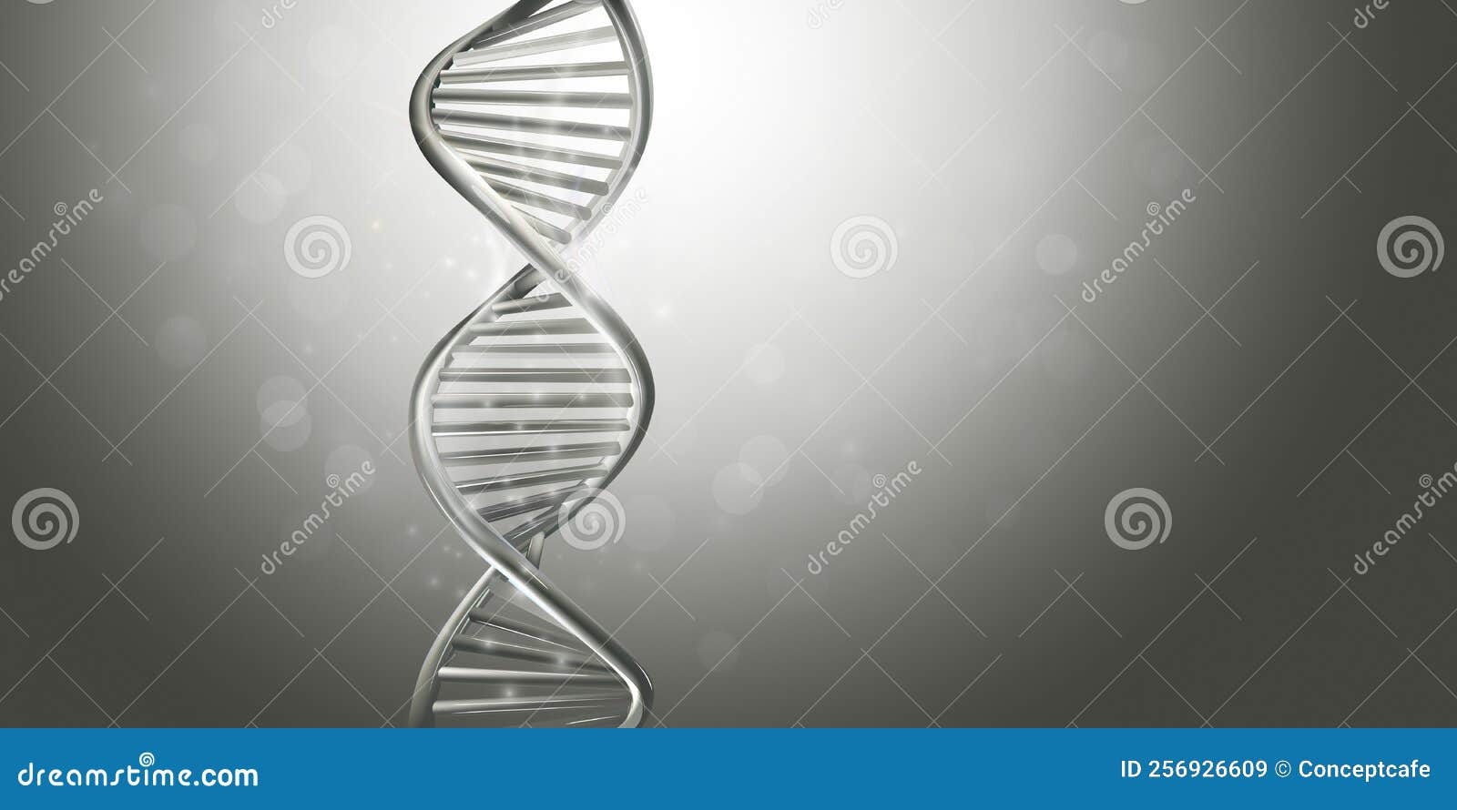 Double-stranded Helix DNA Model in Gray Color. Stock Illustration ...