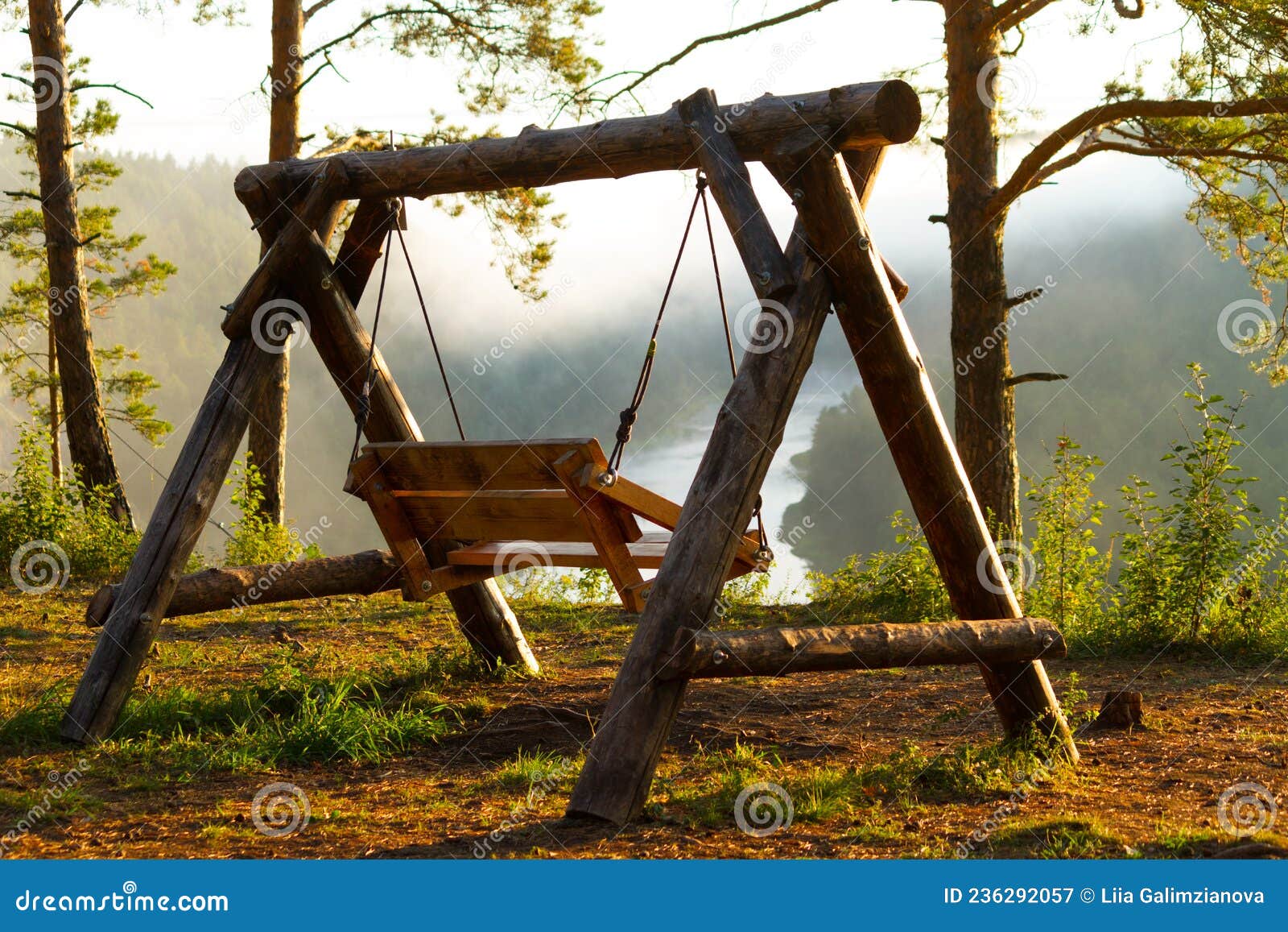 Double swings in a forest stock image. Image of park - 236292057