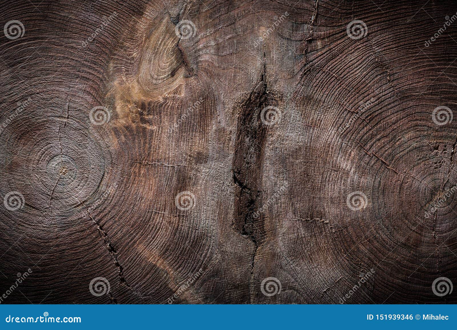 Double Tree Trunk Cross Section Vintage Wood Texture Stock Photo ...