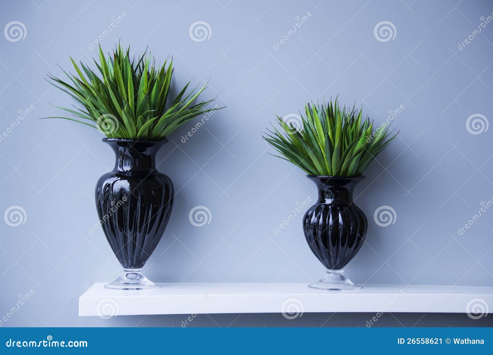 Double Vase stock image. Image of leaf, tree, glass, wall - 26558621