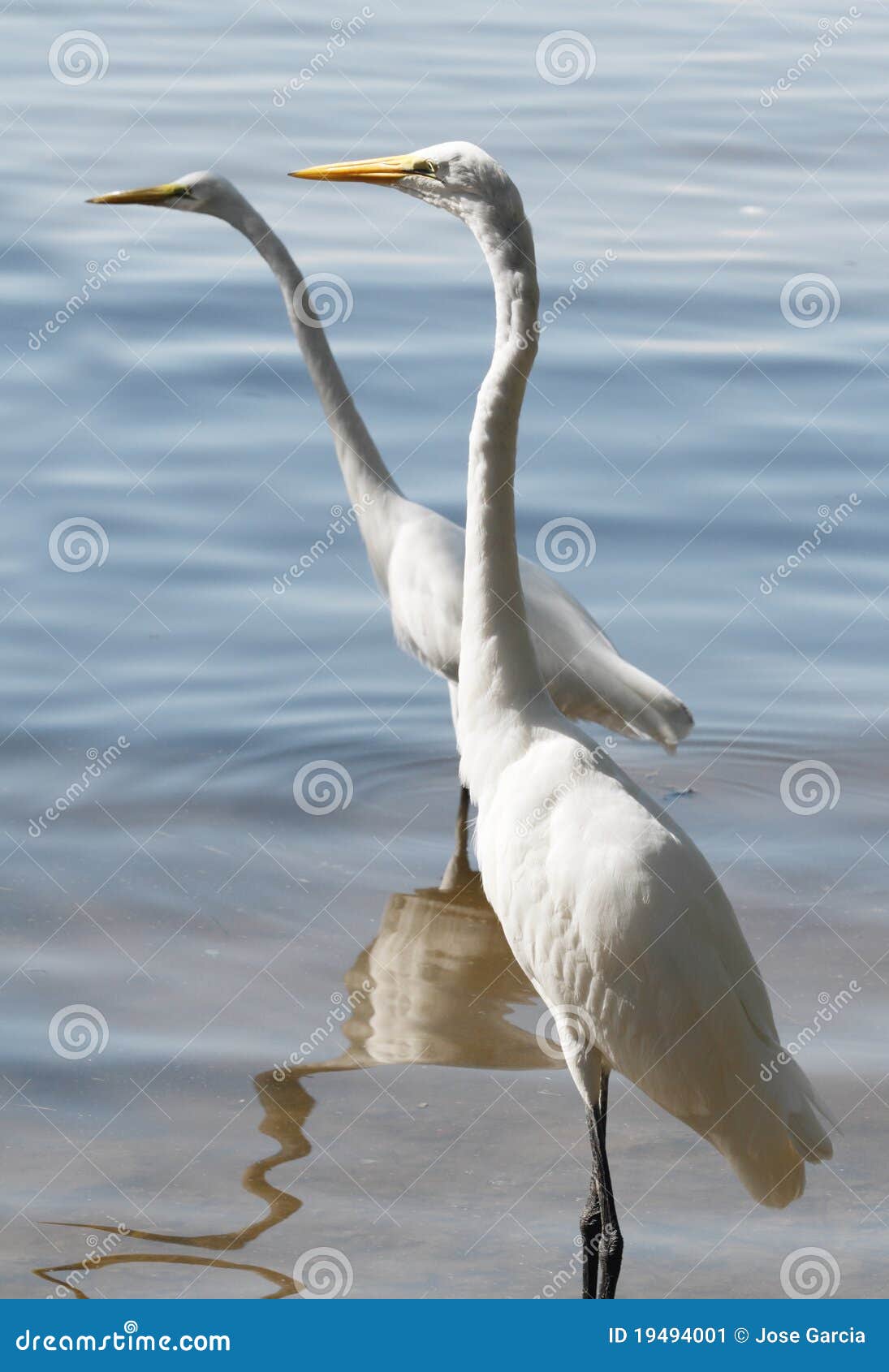 Whiite Sand Stock Photos - Free & Royalty-Free Stock Photos from Dreamstime