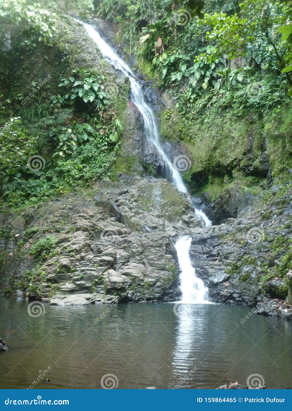 A Double Waterfall Reflects in the Basin Stock Image - Image of lush ...