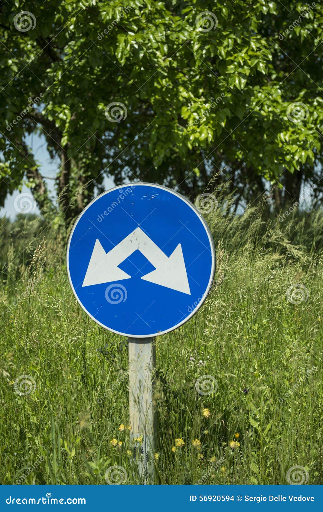 DOUBLE WAY INDICATION stock photo. Image of opportunity - 56920594