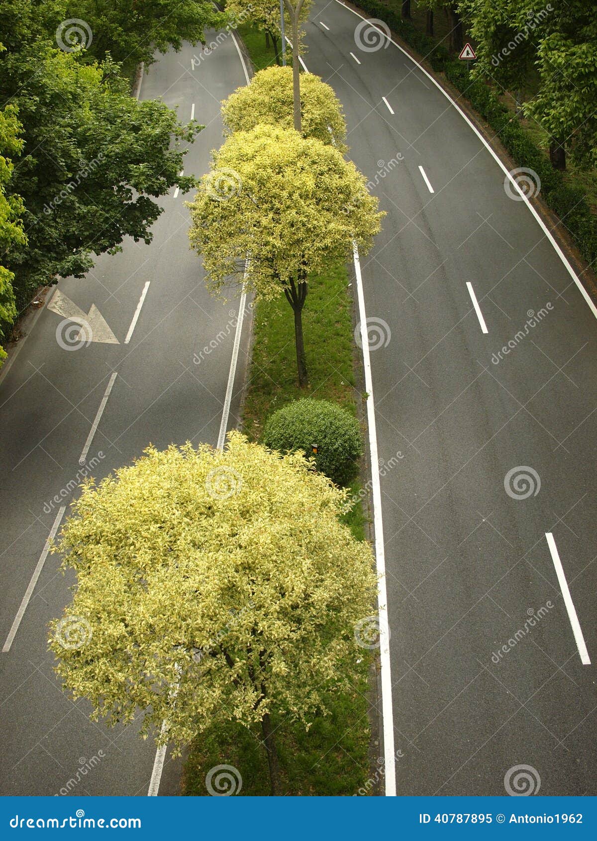Double Way Road with Trees on Center Stock Image - Image of houses ...