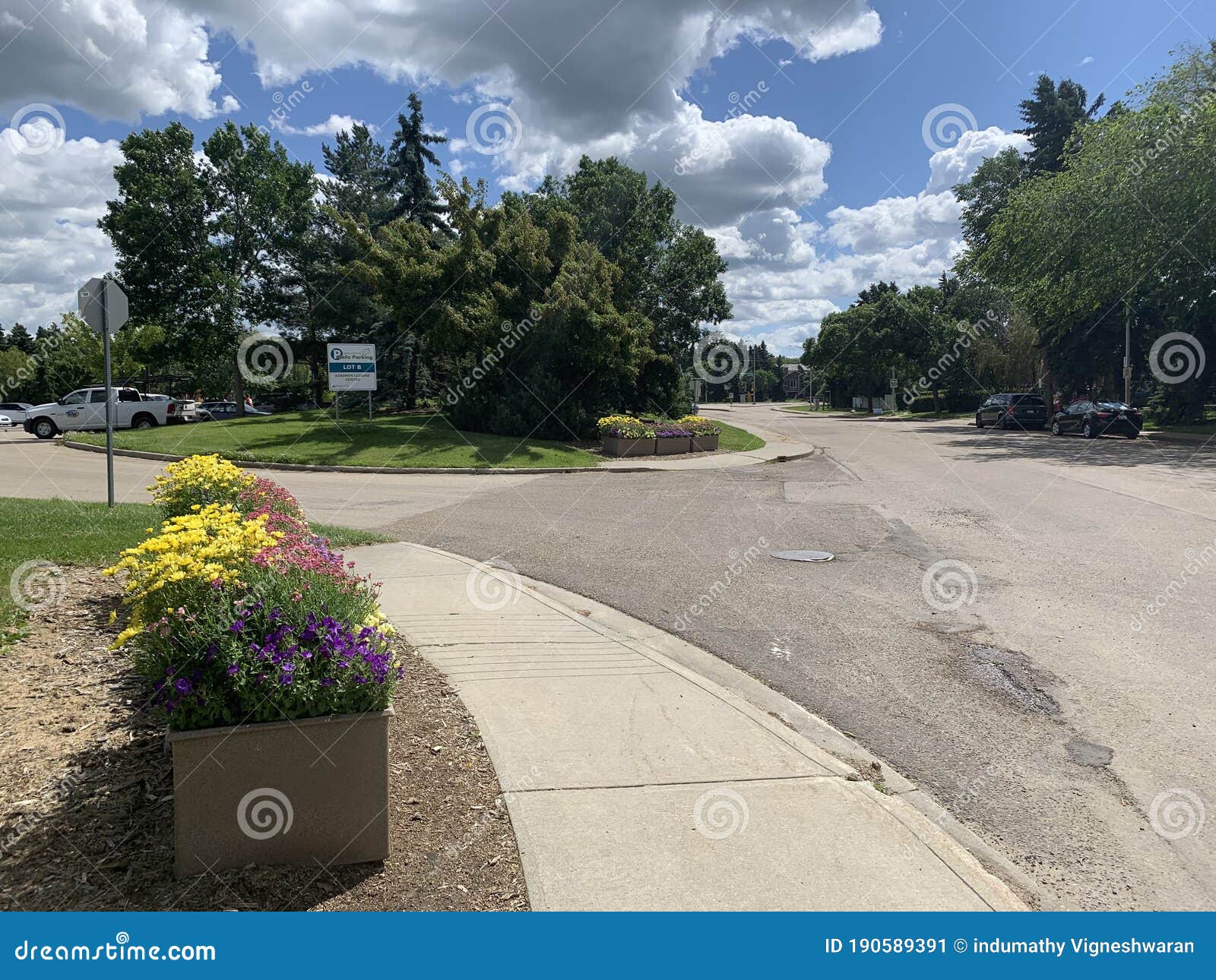 Double way roads stock image. Image of flower, neighbourhood - 190589391