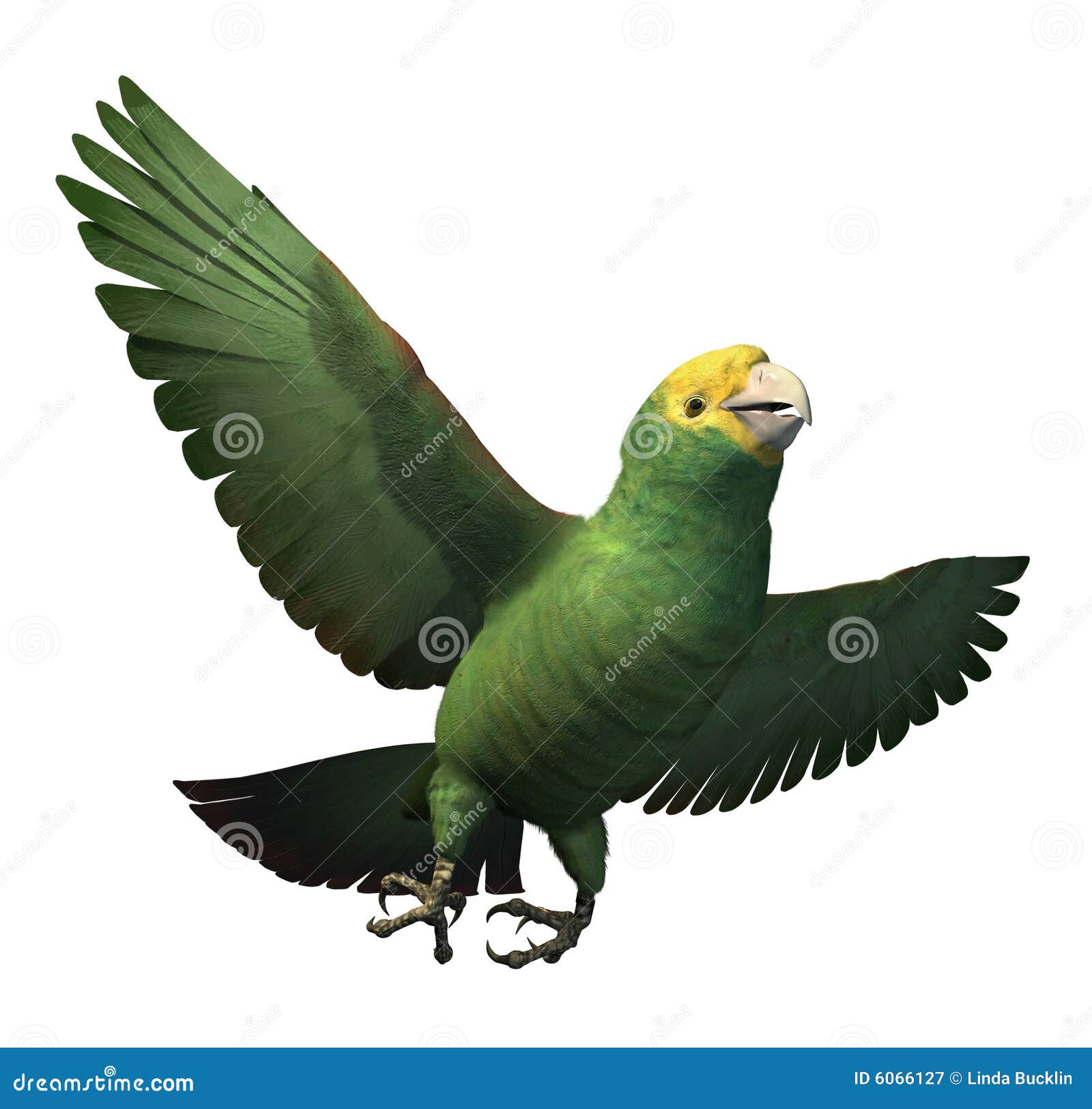 Yellow Headed Amazon Flying