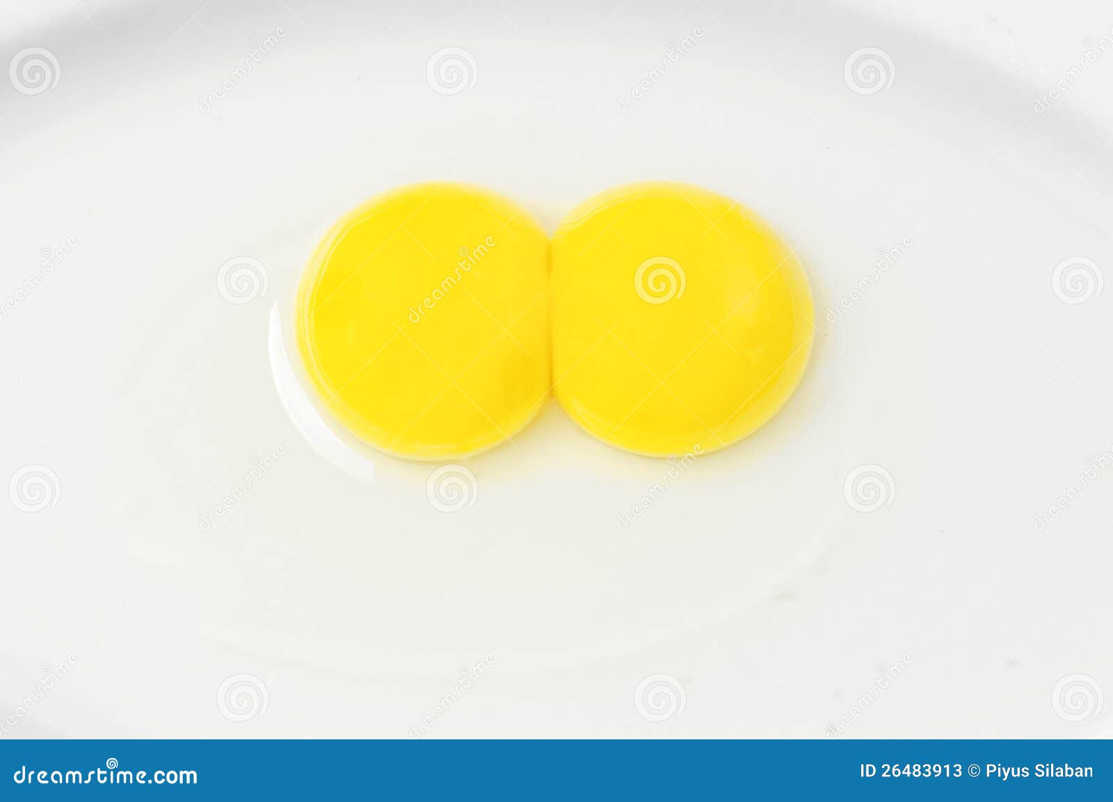Double Yolk stock image. Image of freshness, studio, shot - 26483913