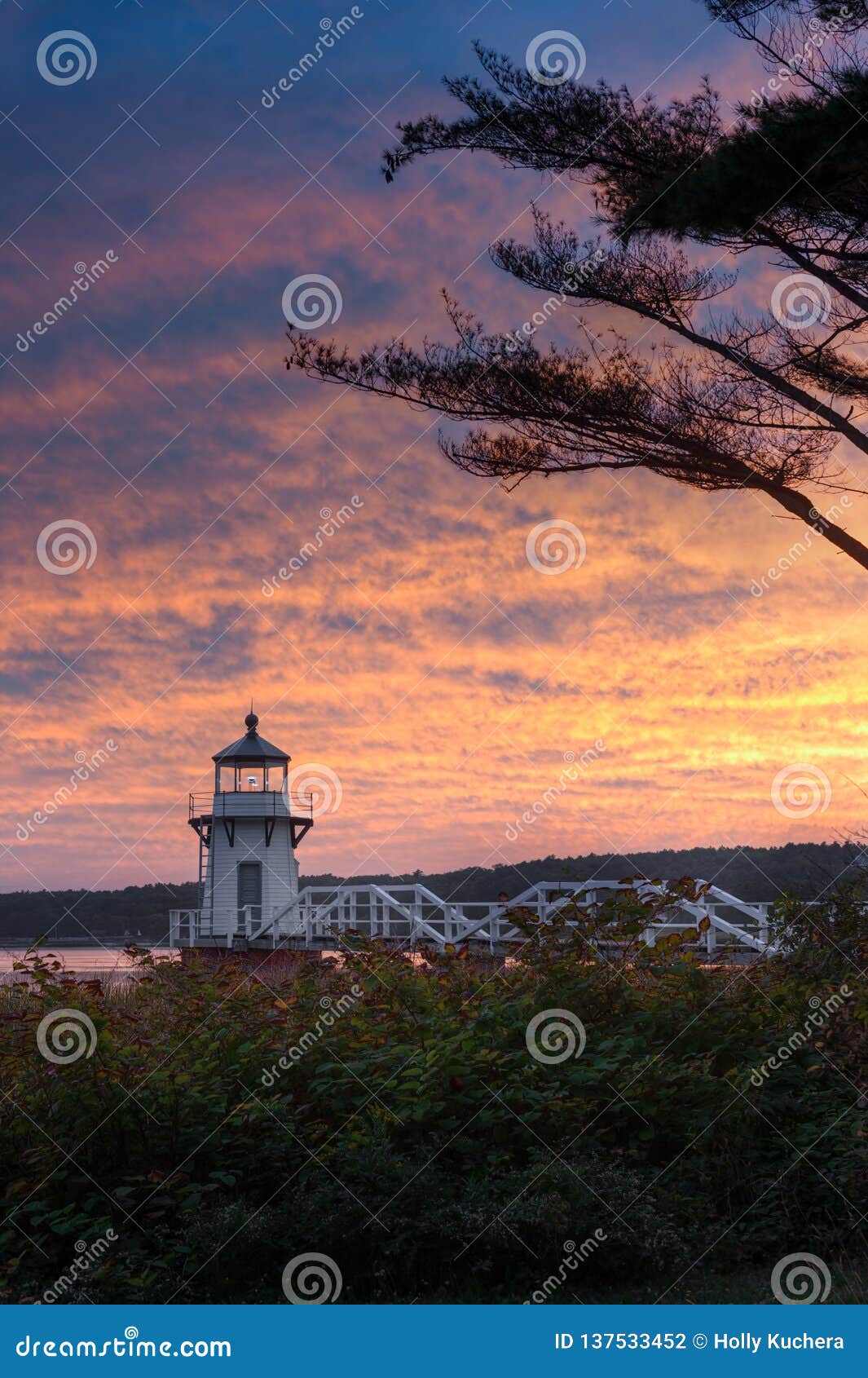 Doubling Point Lighthouse with Walkway and Tree in Sunset Stock Photo ...