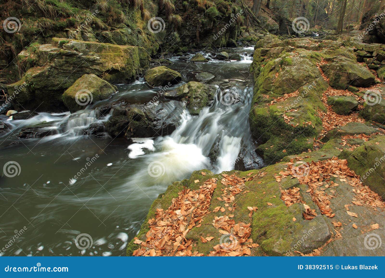 Doubrava river valley stock image. Image of doubrava - 38392515