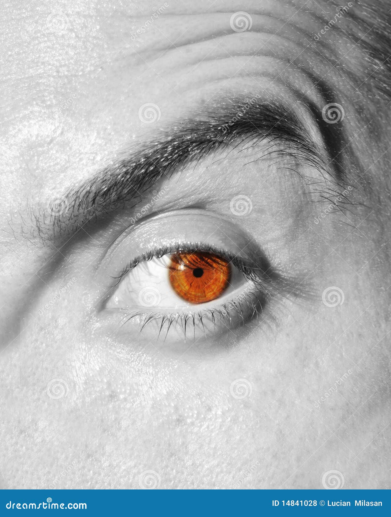 Doubt stock photo. Image of doubt, monochromatic, facial - 14841028