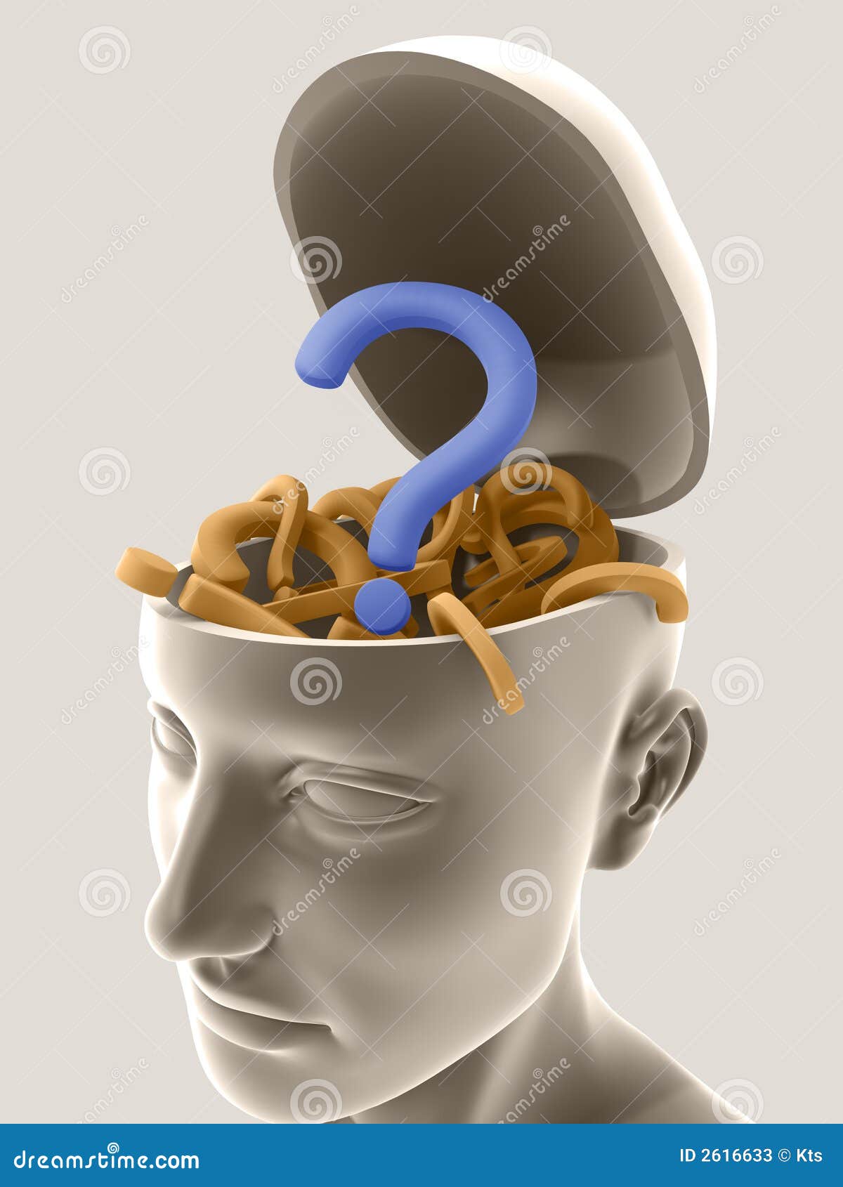 Doubtful Mind stock illustration. Illustration of mind - 2616633
