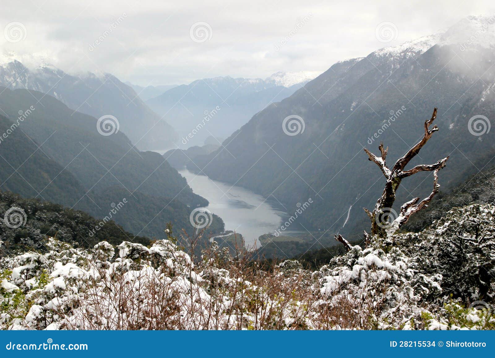Doubtful Sound stock photo. Image of scenic, queenstown - 28215534