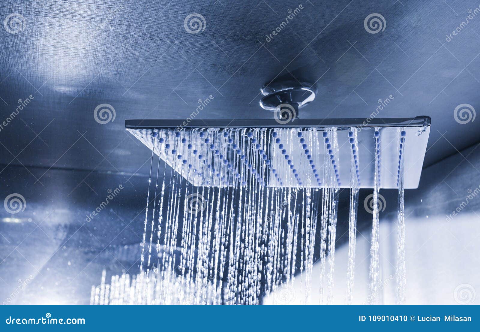 Douche Moderne De Plafond Dans Le Monochrome Photo stock - Image du ...