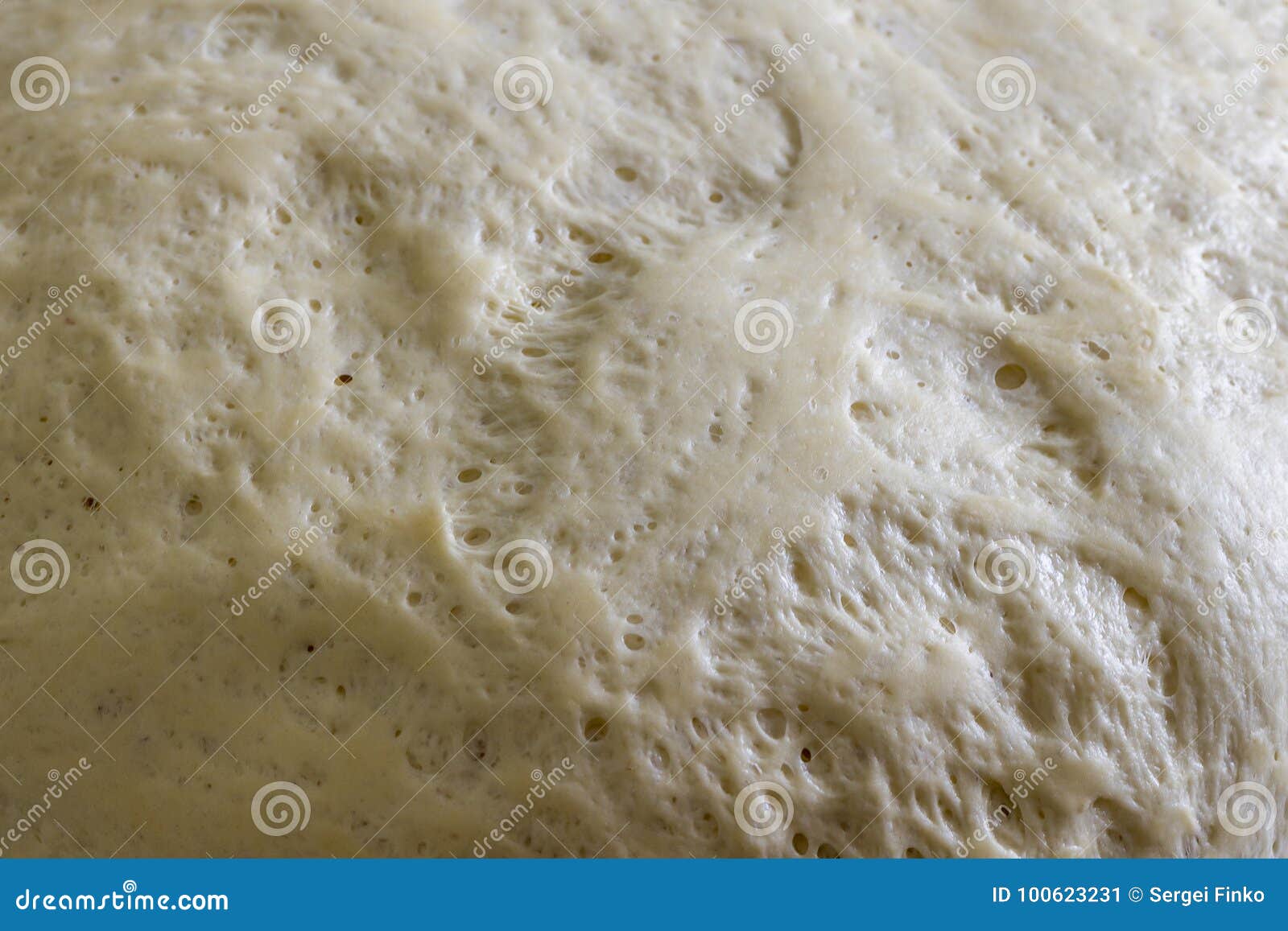 The dough rise stock image. Image of baker, cooking - 100623231