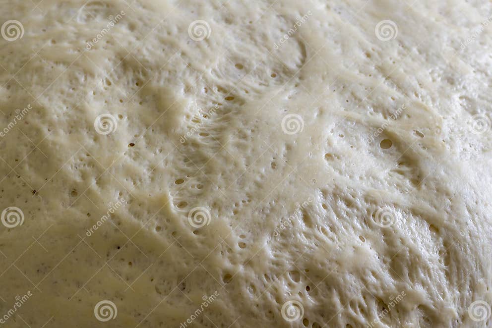 The dough rise stock image. Image of baker, cooking - 100623231