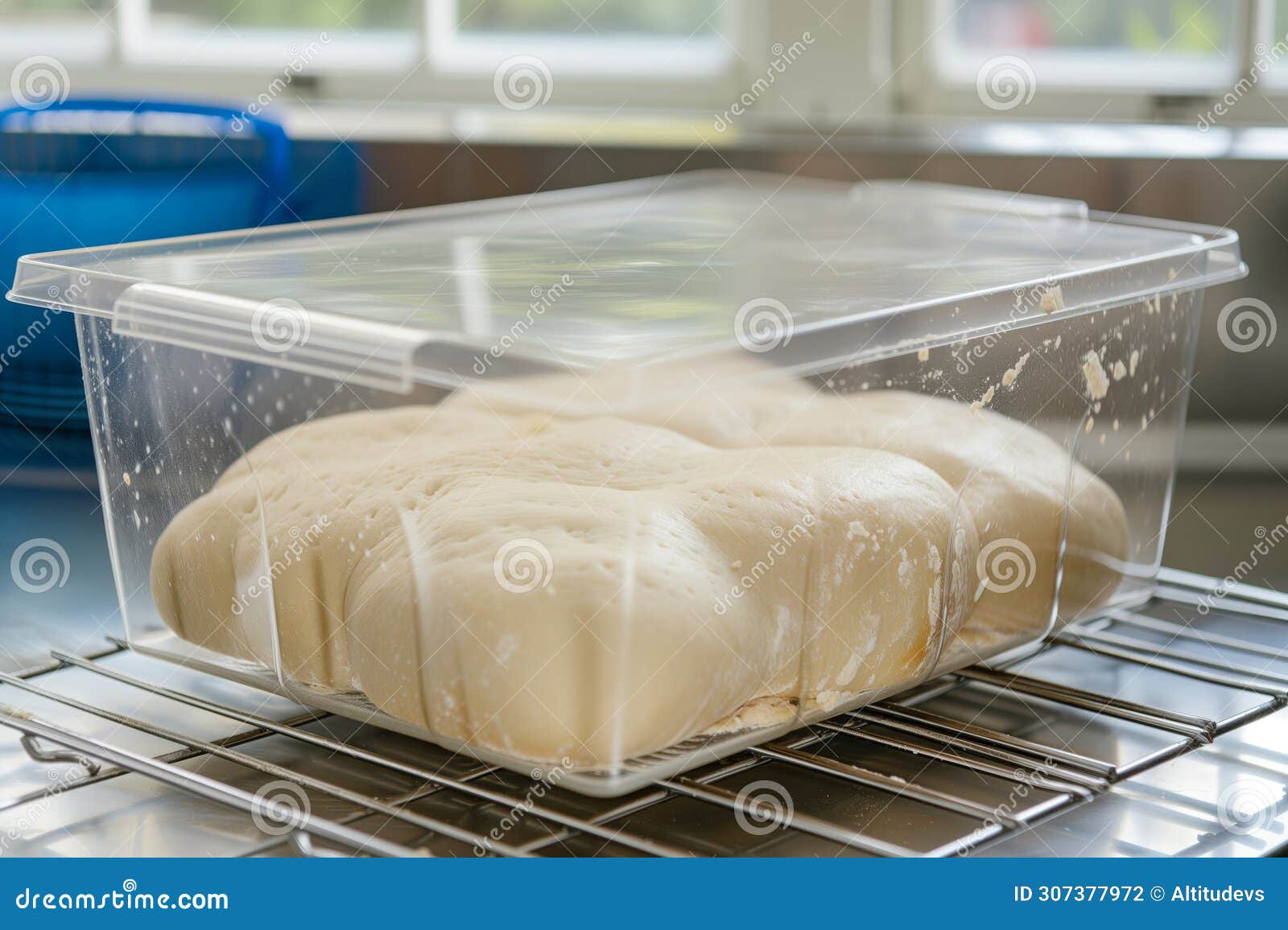 Dough Rising in a Clear Plastic Proofing Box on a Rack Stock Photo ...
