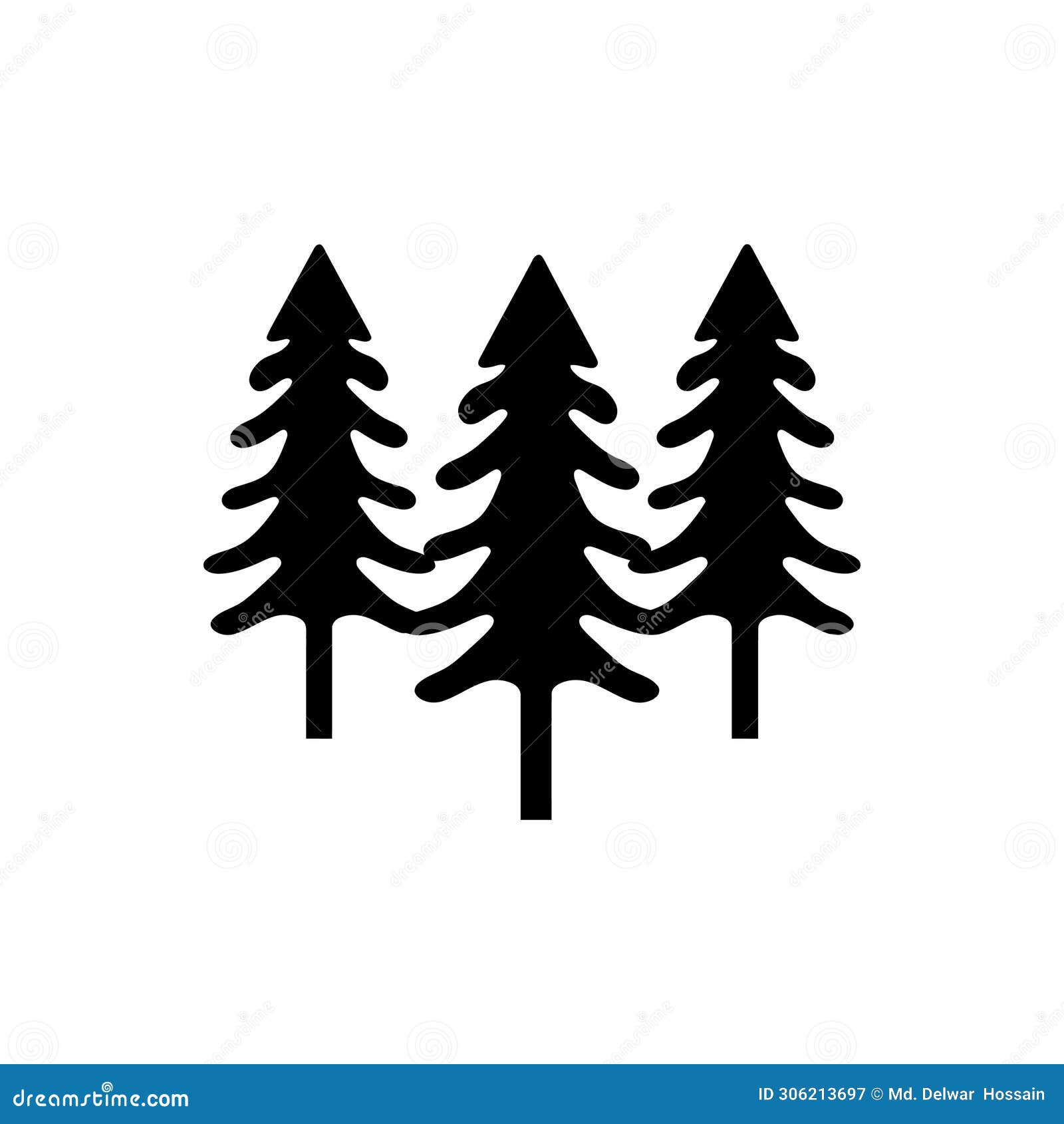 Douglas Fir Tree - Isolated On White Background Stock Photography ...
