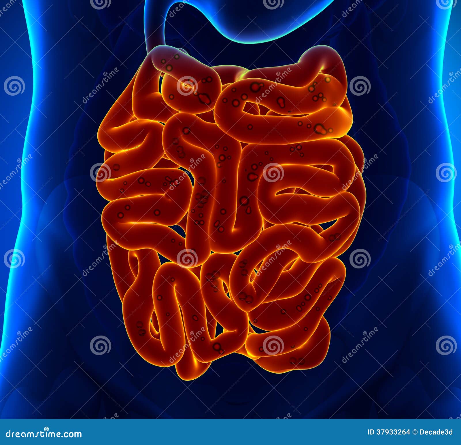 Douleur d'entrailles illustration stock. Illustration du douleur - 37933264