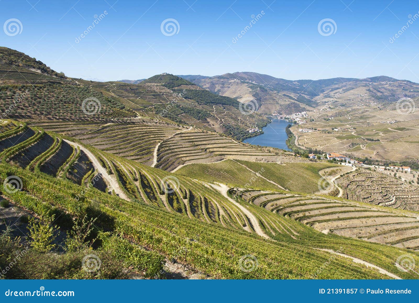 Douro region stock image. Image of valley, port, bridege - 21391857