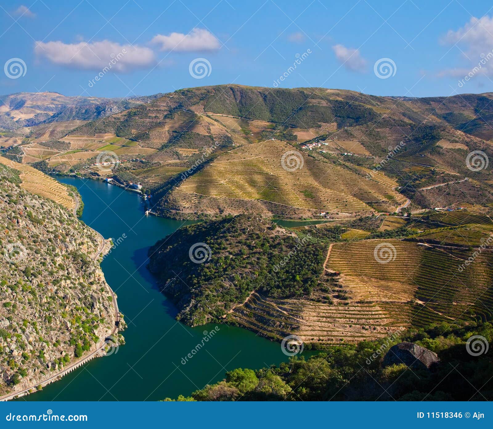 Douro River stock photo. Image of farm, farmland, harvest - 11518346