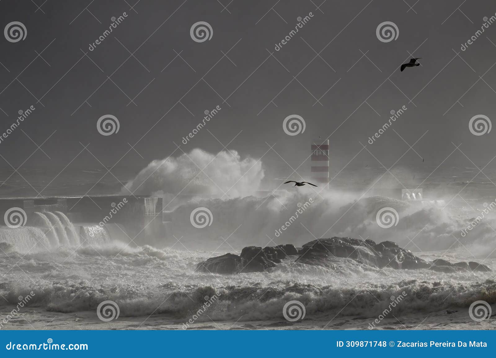 Douro river mouth storm stock photo. Image of nature - 309871748