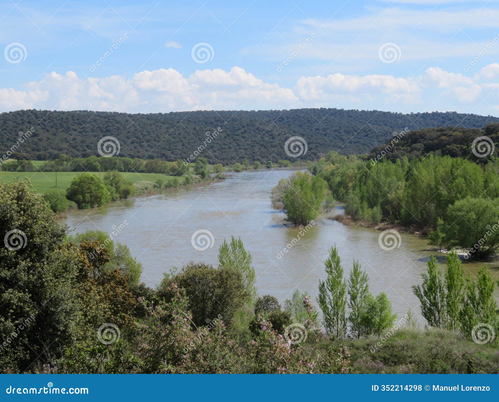 Douro River Water Life Natural Navigation Current Fish Stock Photo ...