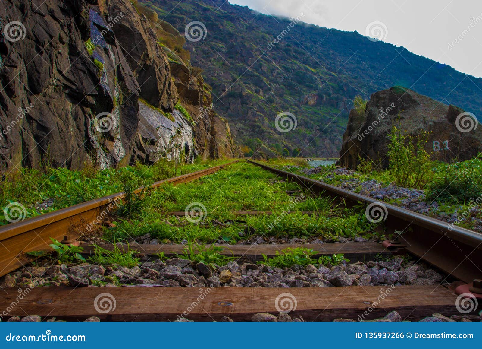 Douro train line stock photo. Image of forest, nature - 135937266