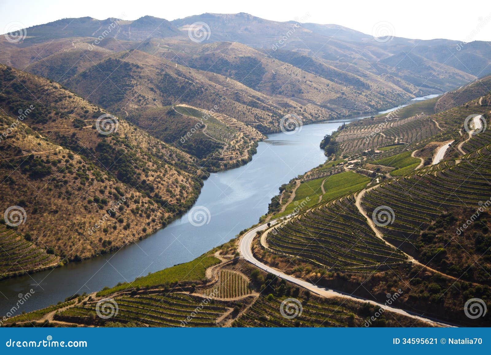 Douro Valley stock image. Image of crop, international - 34595621