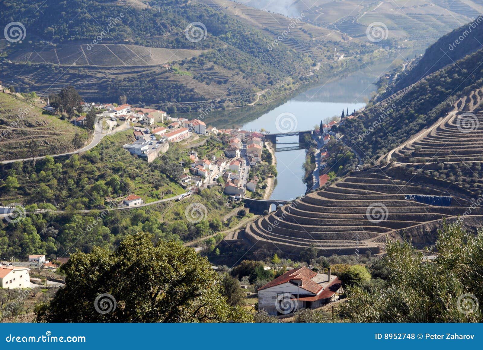 Douro Valley - Mail Vineyard Region in Portugal. Stock Photo - Image of ...
