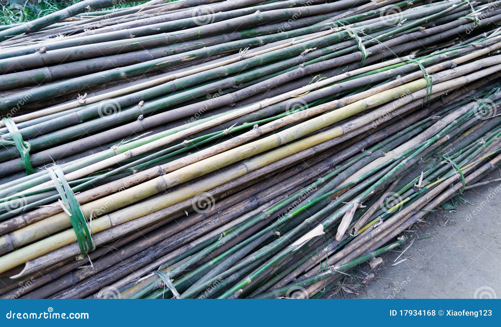 Douzaine bambous photo stock. Image du centrale, objet - 17934168